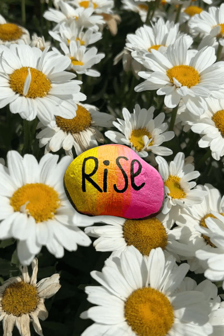 Rise and Reflect: A Mid-Year Reflection of Growth and Renewal